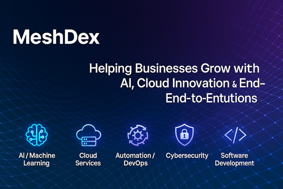 Our Work Portfolio - MeshDex